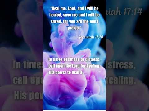 Shining a Light on daily bible verses