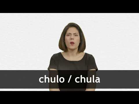 English Translation of “CHULO” | Collins Spanish-English Dictionary