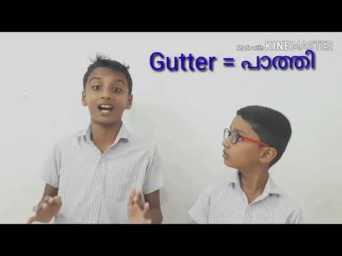 Gutter means