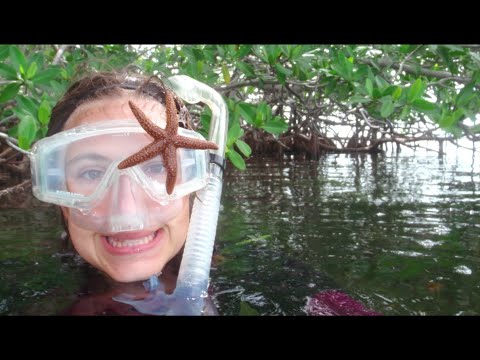 Marine Ecologist Virginia Schutte (Get to Know a Scientist!)