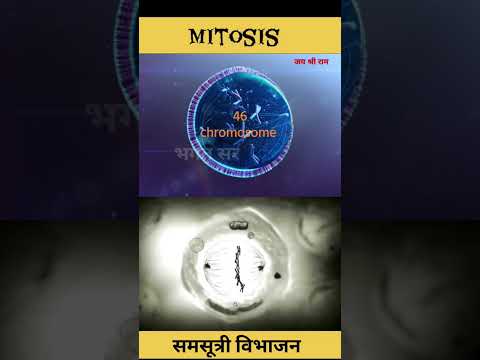 cell division|mitosis|समसूत्री विभाजन #biology #shorts #viral #trending #bhagat sir