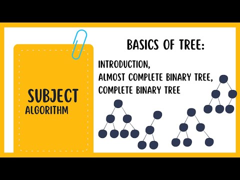 Understanding Binary Trees: Basics, Almost Complete, and Complete Binary Trees