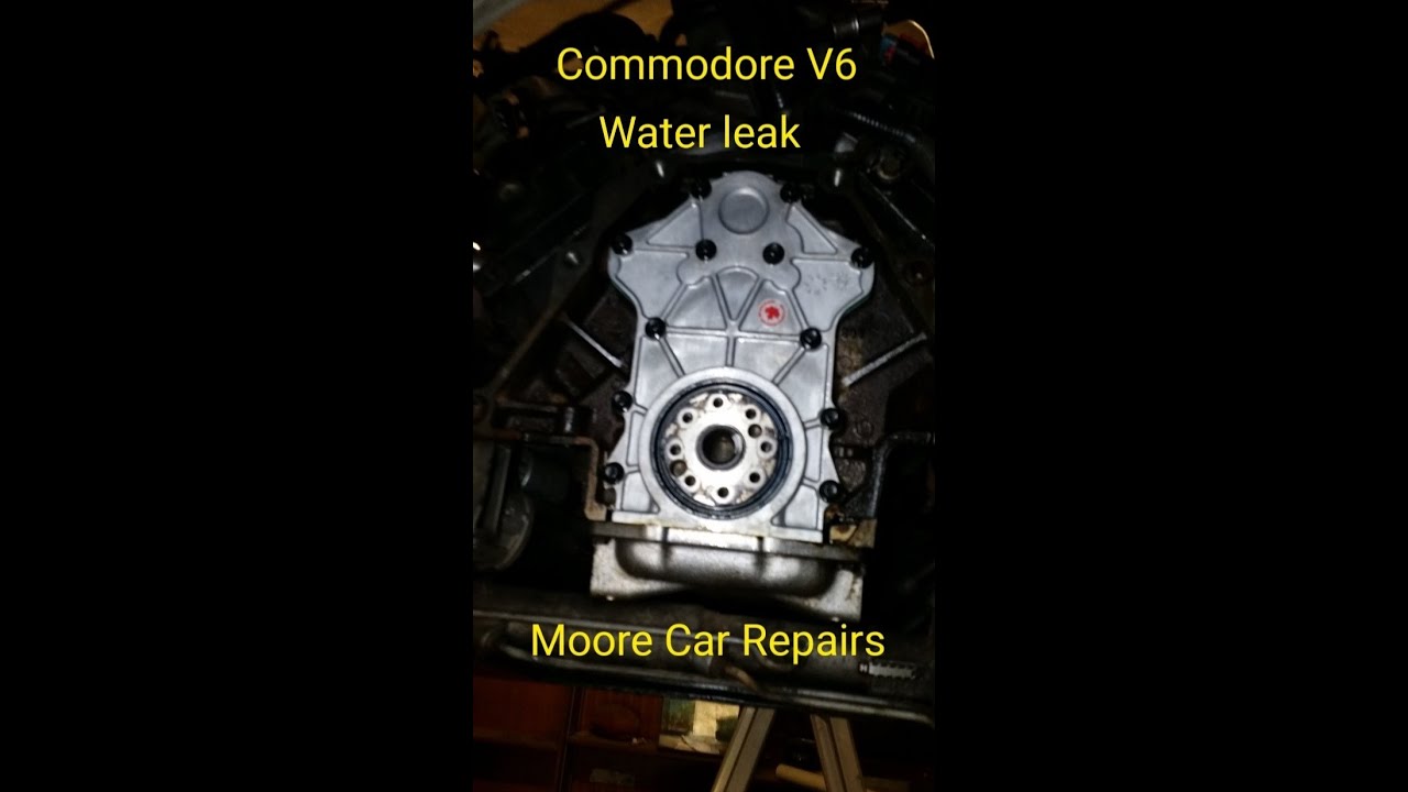Commodore V6 Ecotec Water leak from Rear Main Seal Plate. @MoorecarandDougsadventures