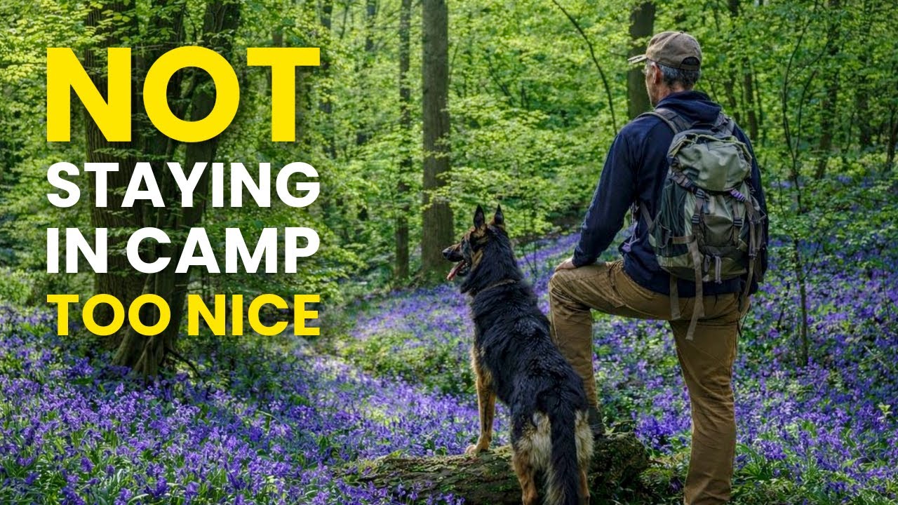 Nomad Life: Bluebell Woods and a Hidden Camp