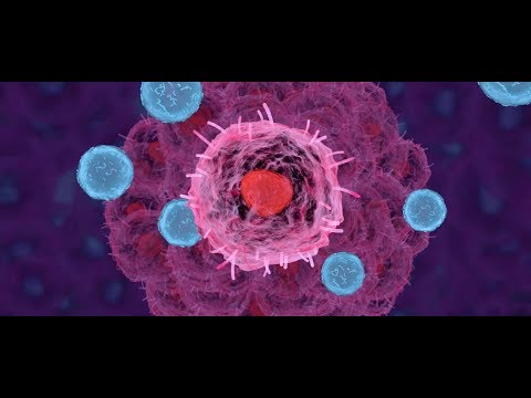 Breast Cancer Research Foundation's Immunotherapy Initiative
