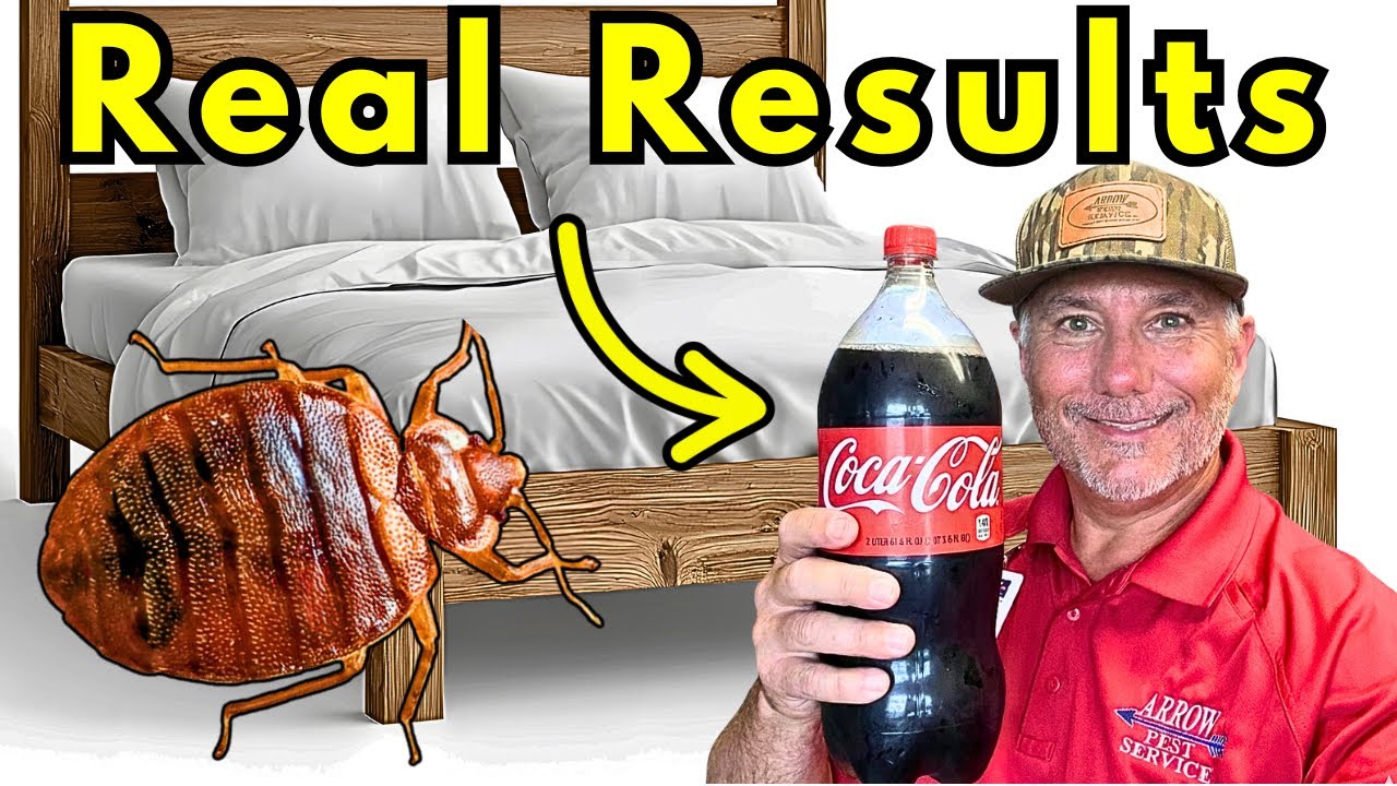 Homemade Bed Bug Trap That Actually Works!