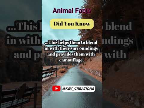Animal Facts | 11 #animalfacts,#Knowledge,#Viralfacts,#englishfacts #animals