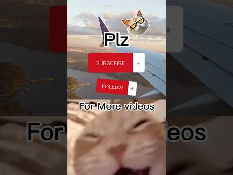 laughing cat memes day8