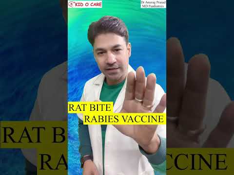 RABIES Vaccination in RAT BITE by Dr Anurag Prasad (Hindi) #shorts