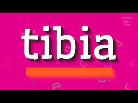 TIBIA - HOW TO PRONOUNCE TIBIA? #tibia