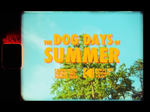 THE DOG DAYS OF SUMMER - SUPER 8 FILM