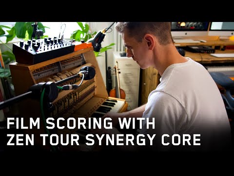 Antelope Audio Zen Tour Synergy Core Thunderbolt 3 / USB | Reverb