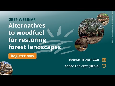 GBEP Webinar: Alternatives to woodfuel for restoring forest landscapes