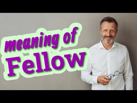 Fellow | Meaning of fellow