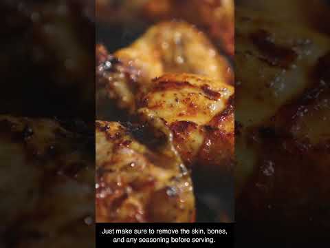 Surprising Human Food Cat Can Eat Part 1#shorts