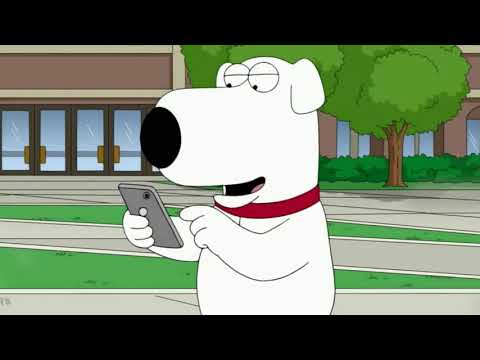 Family Guy Season 16 - Brian renews his interest in his Twitter account