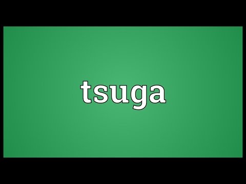 Tsuga Meaning
