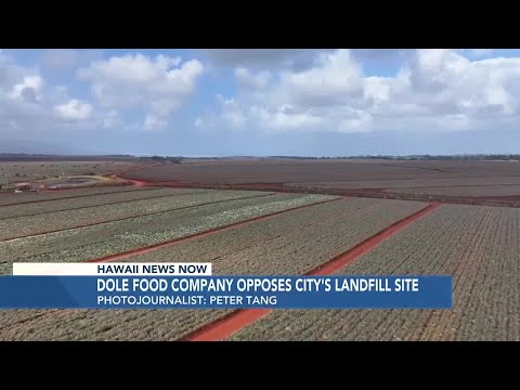 Dole opposes city’s landfill location in ‘heart of our pineapple operation’