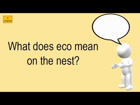 What Does Eco Mean On The Nest?