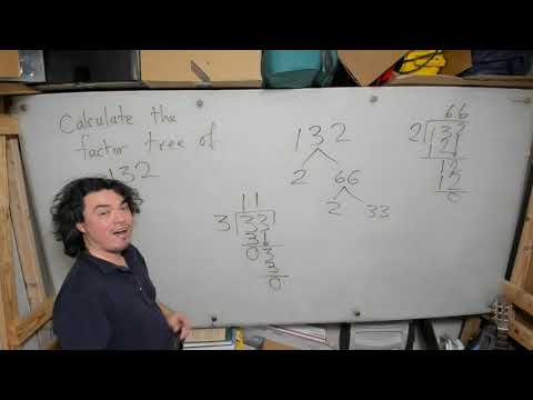 Finding Factor Tree Of 132