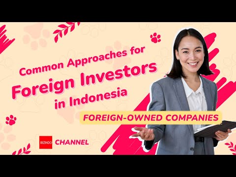 Getting to Know Foreign-Owned Companies (PT PMA) in Indonesia