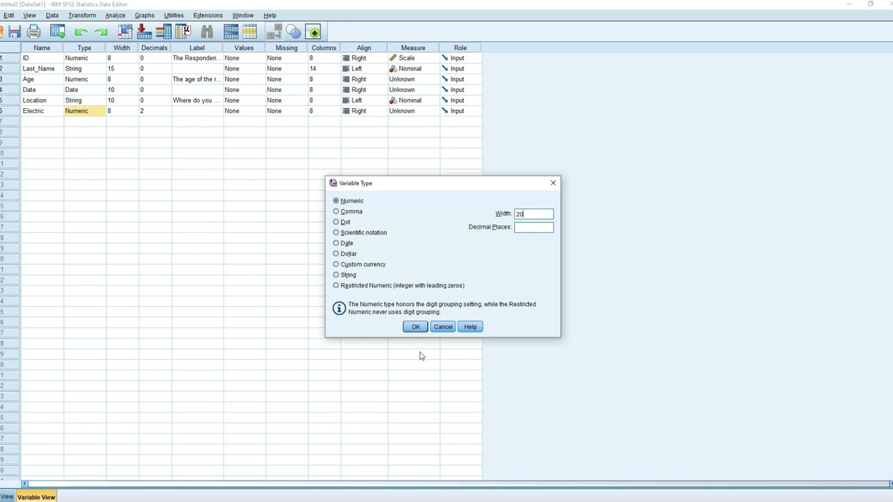 HOW TO CONDUCT DATA ANALYSIS IN SPSS | INTRODUCTION TO SPSS | LESSON 1: DATA INPUT/IMPORT DATA
