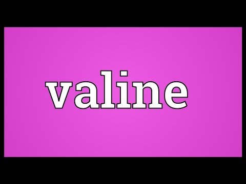 Valine Meaning