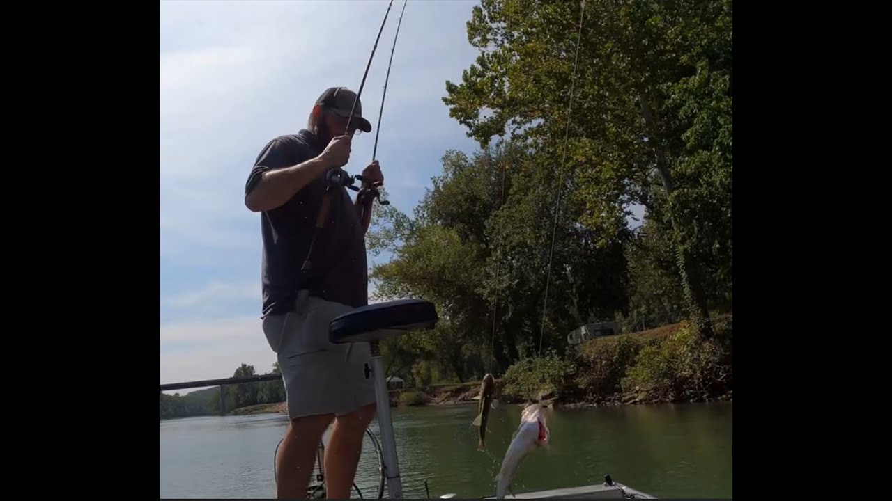 Pizza guy with the Tackle Max Hellgrammite - Mullet jig “one two punch!!!