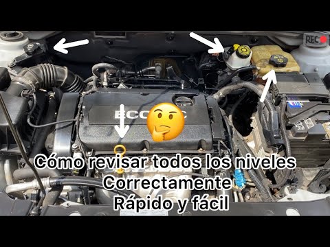 Como revisar todos los niveles del auto correctamente (rápido y fácil) 🤔 fluidos,aceite y anticong.