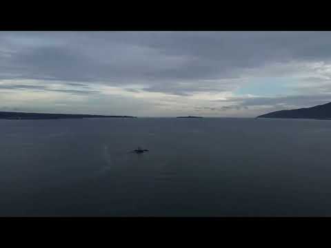 DJI Mini 2 Test