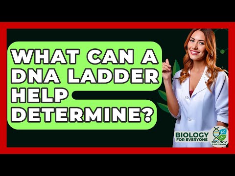 What Can A DNA Ladder Help Determine? - Biology For Everyone