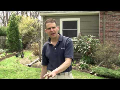 Aerating Your lawn
