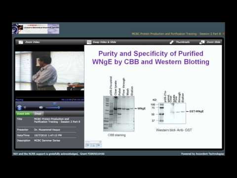Detailed Operation of Protein Purification Using the BioRad Profinia System