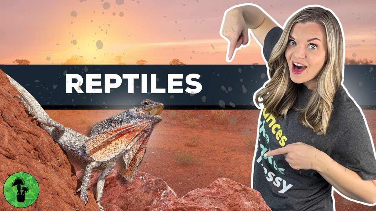 All About Reptiles | Classification & Adaptation