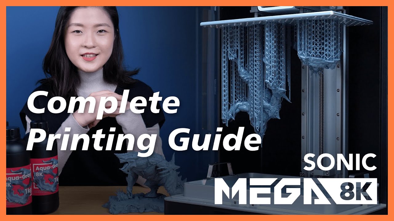 Sonic Mega 8K Complete Printing Guide