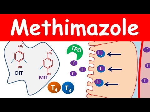 Methimazole Tablet - Methimez Latest Price, Manufacturers & Suppliers