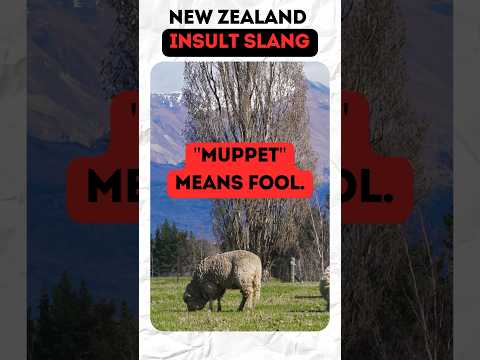 Don't Be Called a Fool Without Knowing It #slang #newzealand