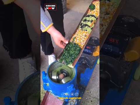 Chicken Feed Pellet Making