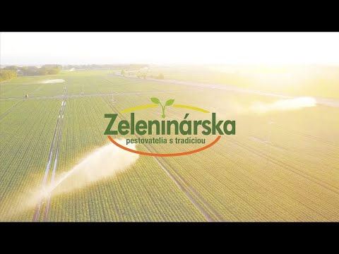 AGROMAČAJ | ZELENINÁRSKA 2024