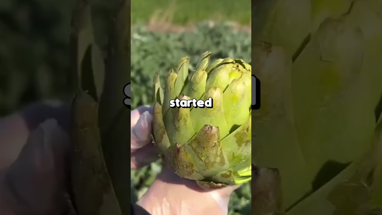 My stepdad opened his Christmas gift and said...