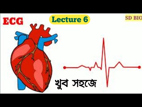How to read ECG in bengali। Human Physiology class 11। Electrocardiogram and Electrocardiograph ।