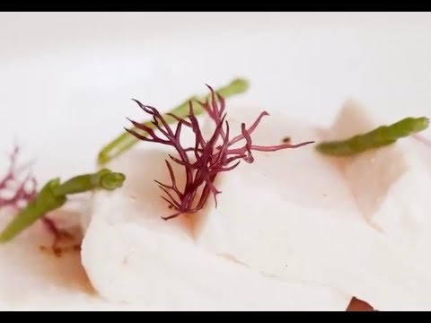 The Best Seafood Restaurants | Travel + Leisure