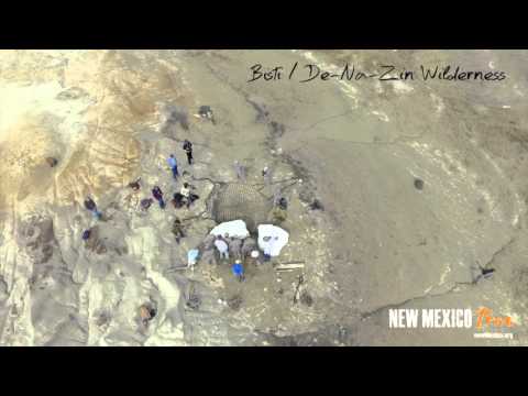 True OVERviews-Bisti Wilderness Fossils