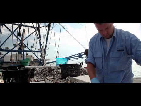 BONUS CLIP: Fresh Catch - Chef Jeremiah Bacon & Tommy Edwards