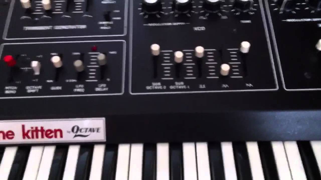 Octave kitten - Playing / Demonstrating with the VCO