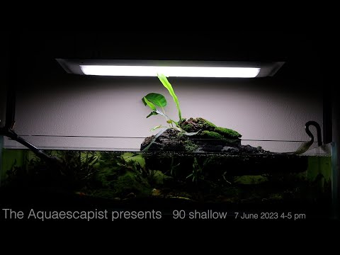 90 shallow this afternoon - let me know what you think! - Photos ...