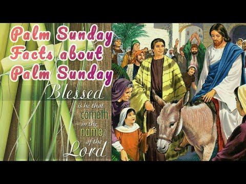 Facts about Palm Sunday || Historical Background || Tamil Christian Message || Bro.F.Jim Reeves