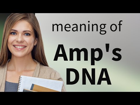 Unraveling the Mystery of "Amp's DNA"