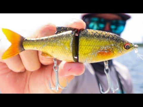 Fish Of 1 Million Casts? The RAREST FISH In The United States (SURPRISE ...