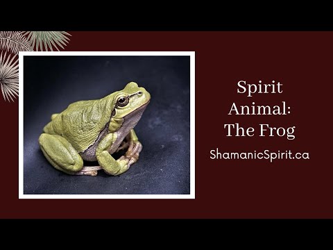Animal Spirit Guide: The Frog (Shamanic Power Animal). Frog Symbolism
